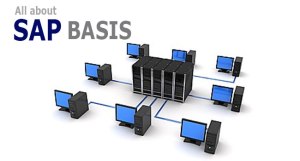 BASIS MODULE – SINAU SAP PM MODULE