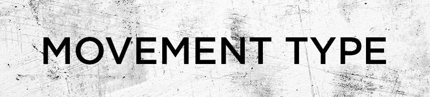 Create Movement Type – SINAU SAP PM MODULE