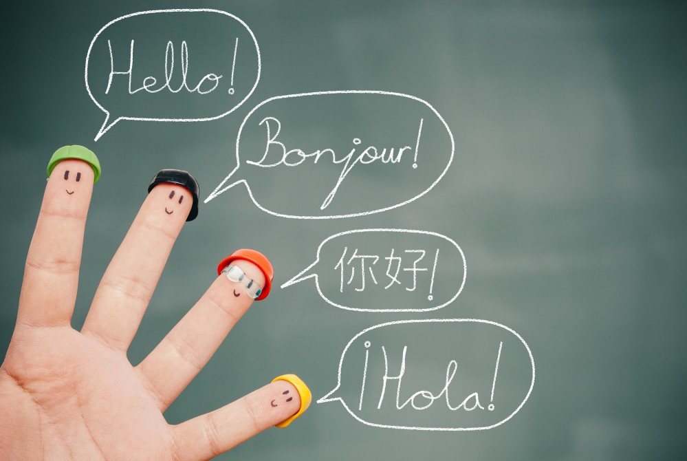 Multilingual Languange Texts – SINAU SAP PM MODULE