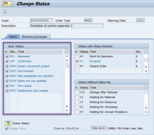 SAP System Status vs User Status – SINAU SAP PM MODULE