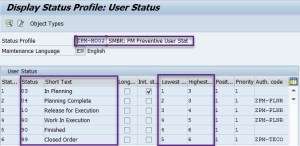 SAP System Status vs User Status – SINAU SAP PM MODULE