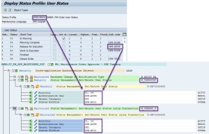 SAP System Status vs User Status – SINAU SAP PM MODULE