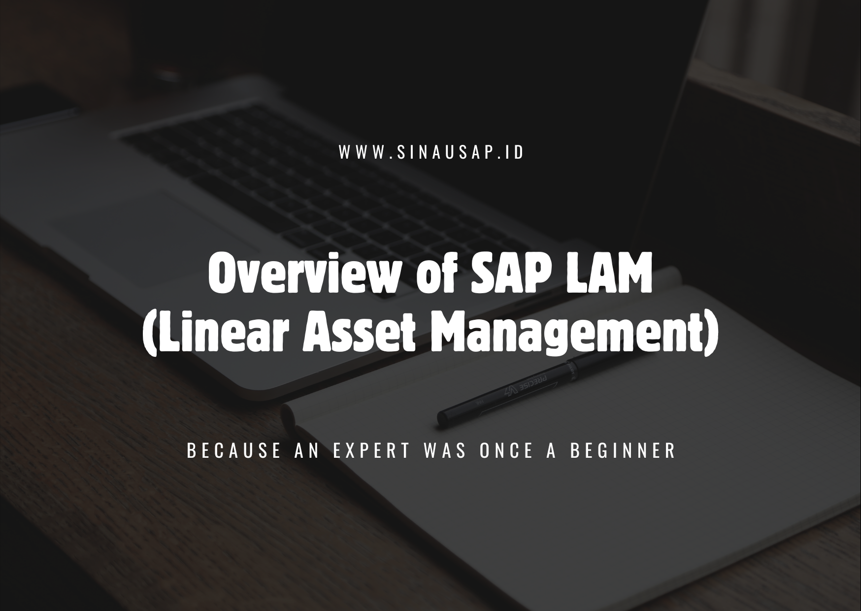 SINAU SAP PM MODULE – Because an expert was once a beginner