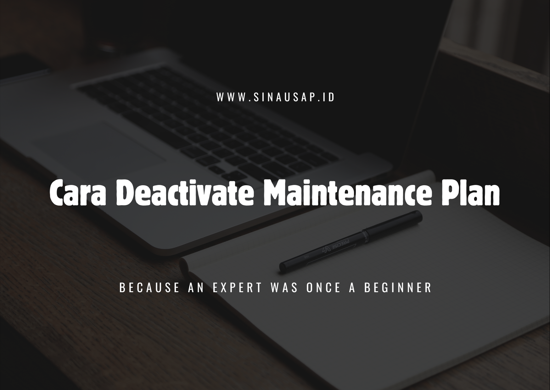 SINAU SAP PM MODULE – Because an expert was once a beginner