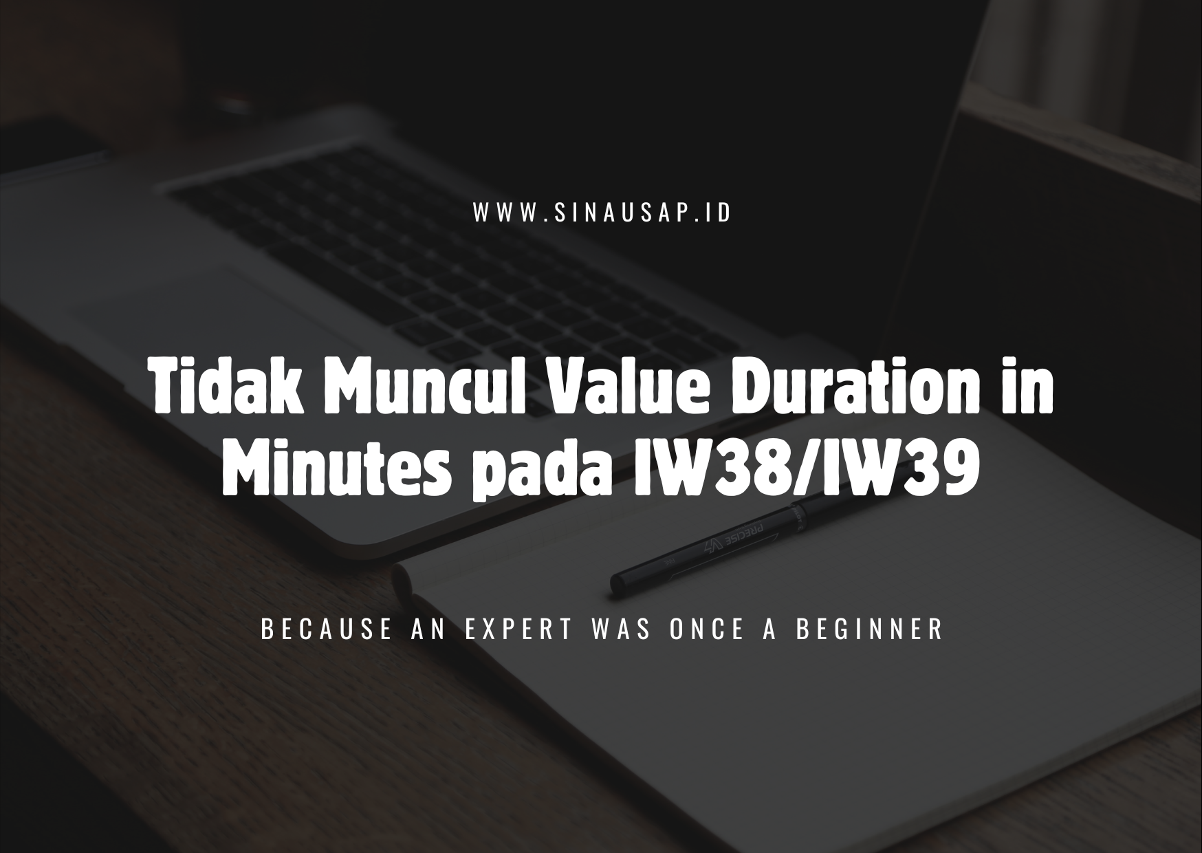 SINAU SAP PM MODULE – Because an expert was once a beginner